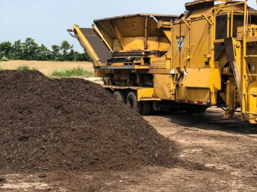 ABOUT - The Mulch Man