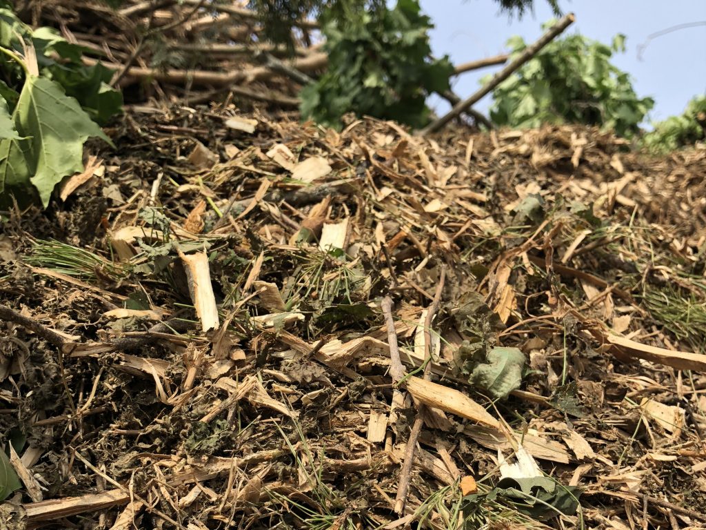 MULCH - The Mulch Man